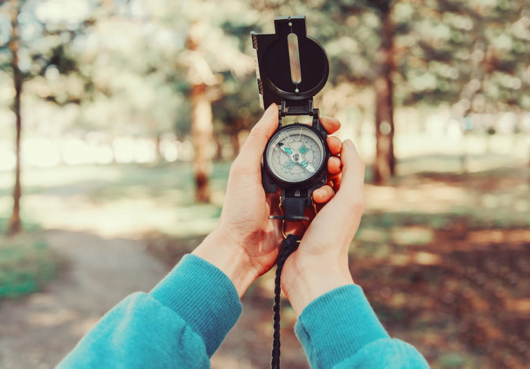 aLittleBitOfAll | How to Choose a Compass