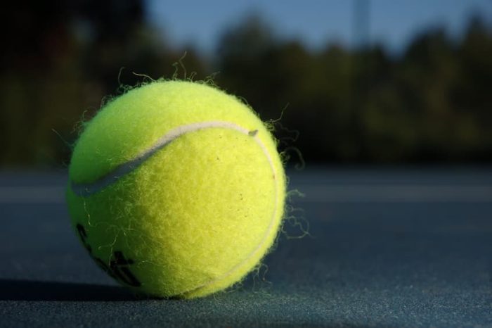 Tennis Ball Buying Guide - aLittleBitOfAll