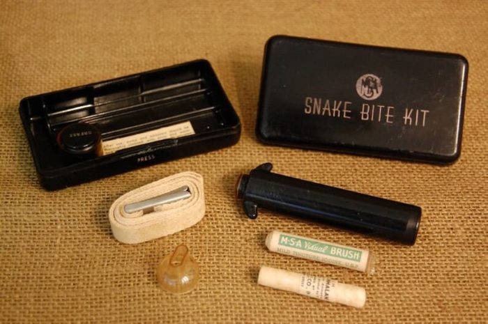A Guide to Snake Bite Kits - aLittleBitOfAll